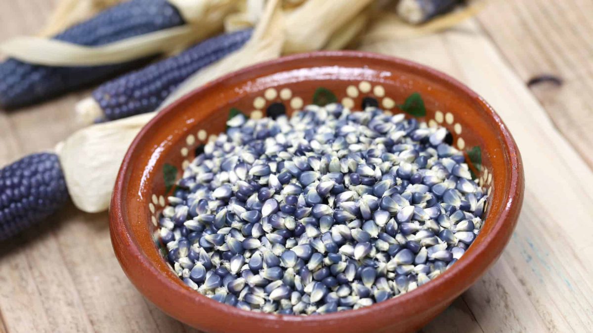 Blue Foods That Will Boost Your Health | Seniors Guide