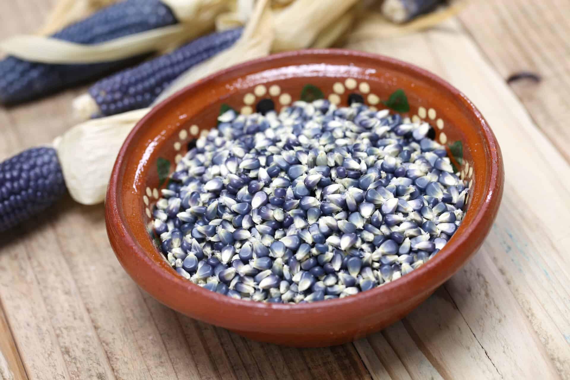 Blue Foods That Will Boost Your Health | Seniors Guide